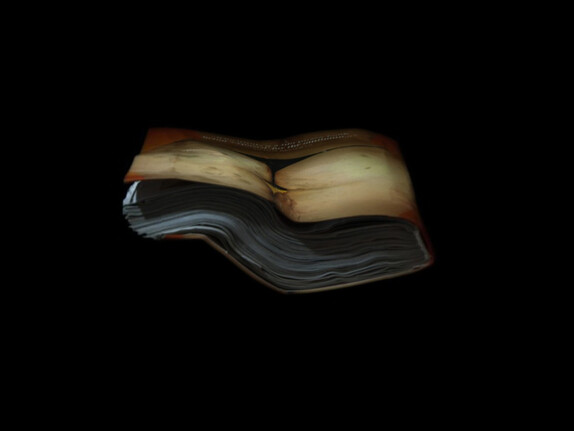 Richard Finkelstein | Meer