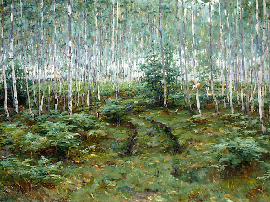 Three views on the landscape | Meer