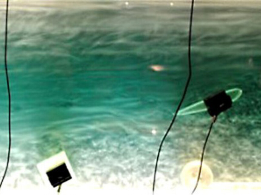 Water and How It Moves | Meer