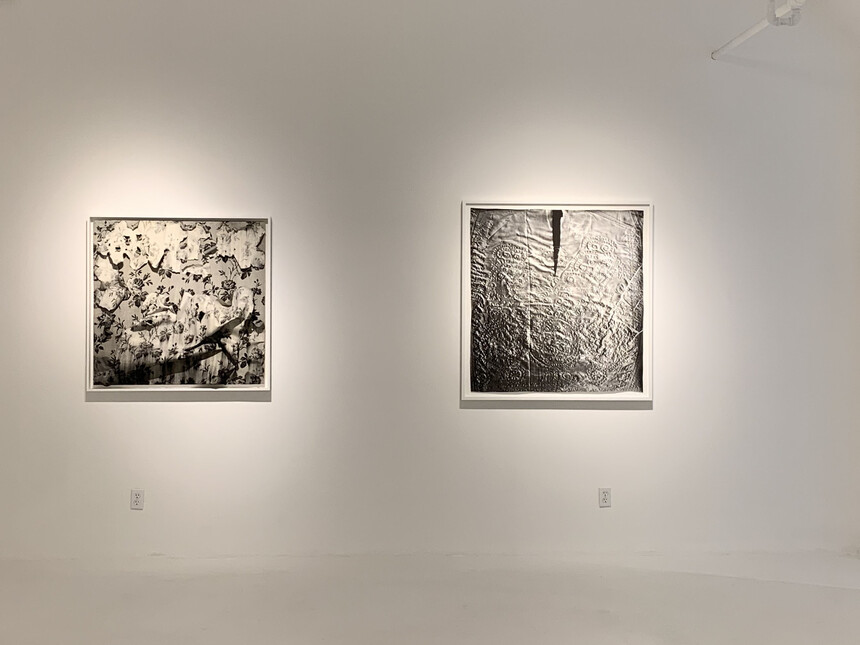 Does not Reproduce | Meer