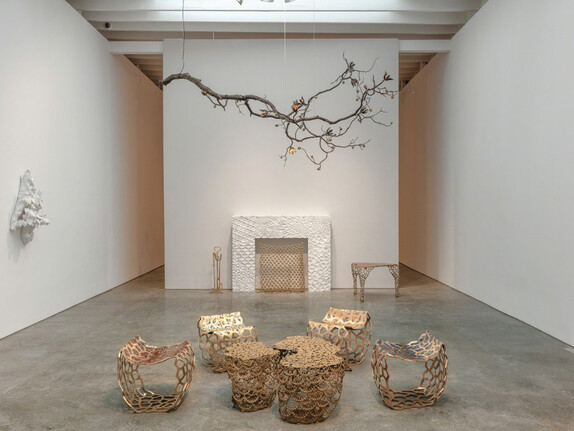 David Wiseman | Meer