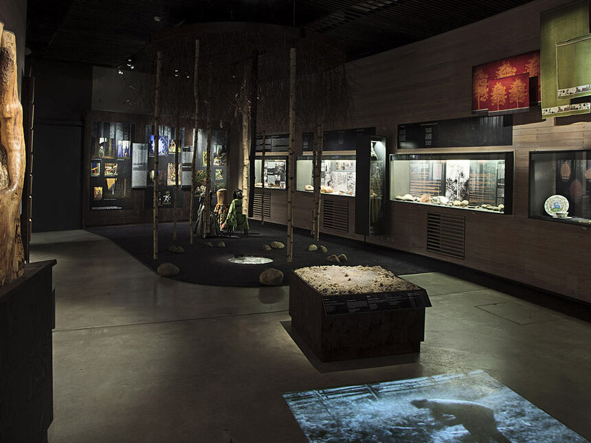 The Forest of the Finns | Meer