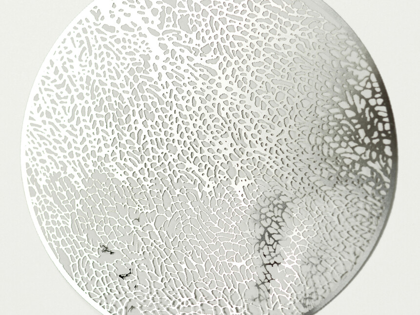 Shelagh Wakely, coralwing, 2007, Cut thin steel, 8 cm (diameter ...