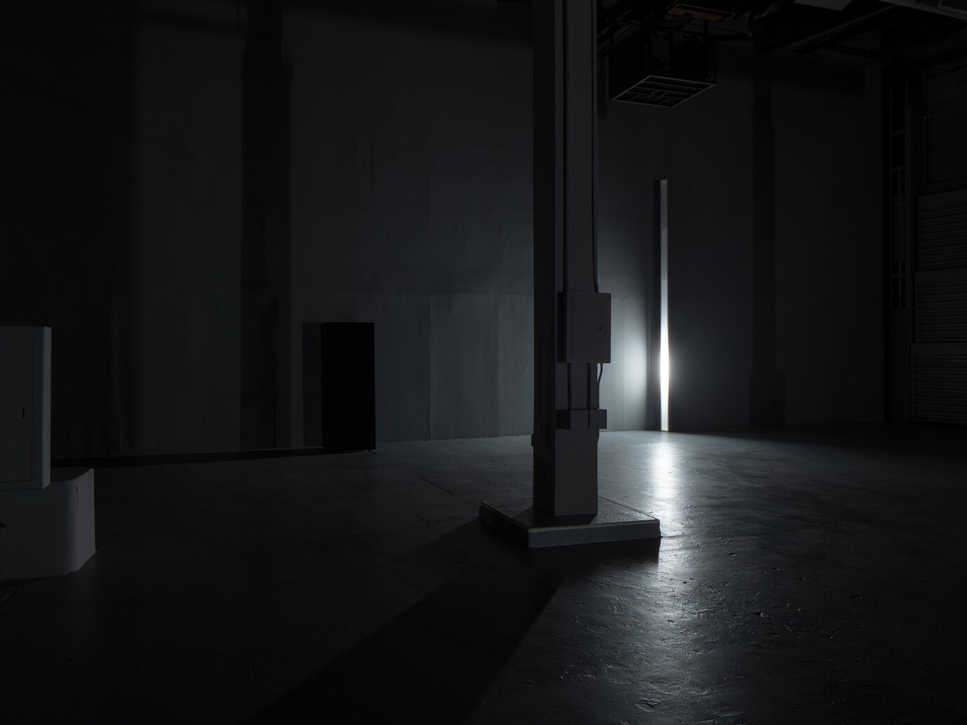 Carl Craig. Party/After-party | Meer