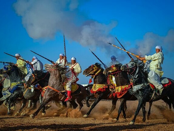 Moroccan Tbourida | Meer