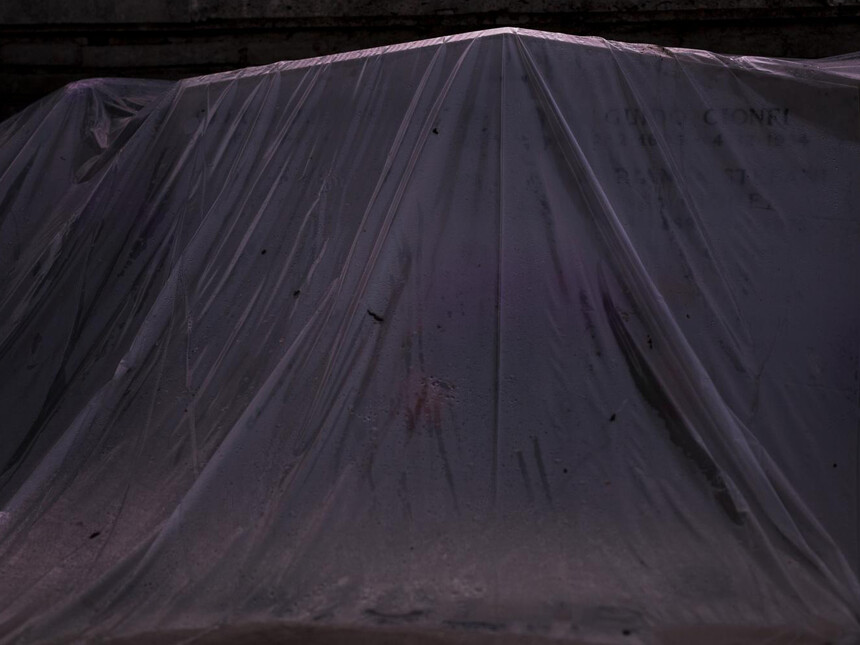 Daniela Friebel | Meer