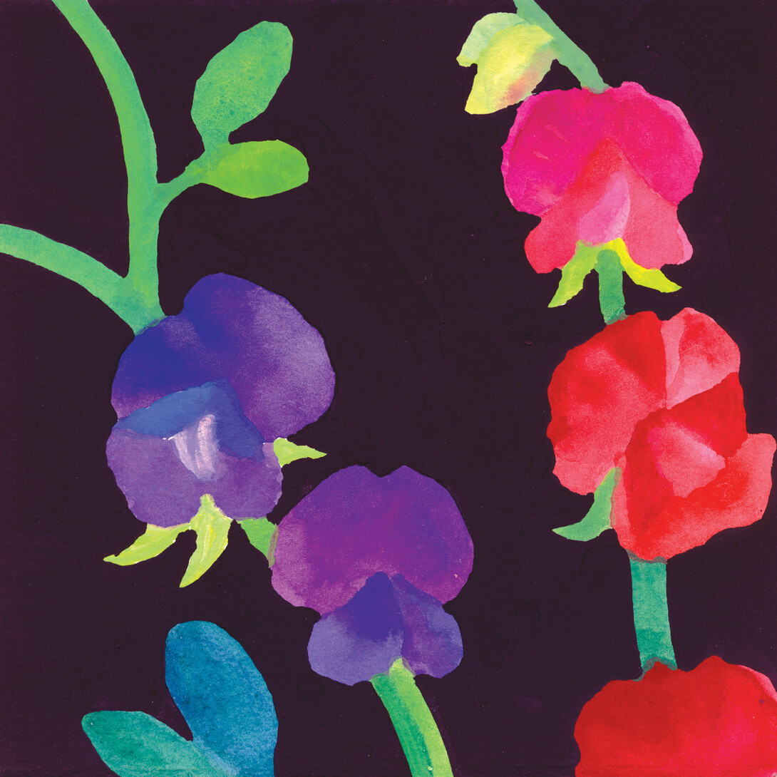 Nerys Johnson | Meer