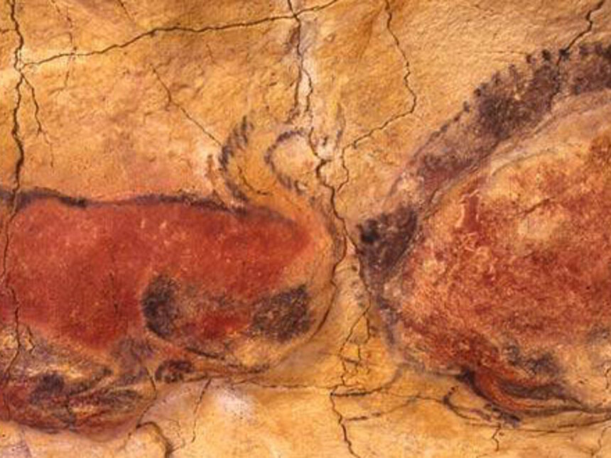 The Altamira cave | Meer