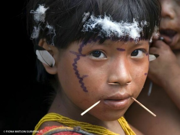 Interview with Stephen Corry | Meer