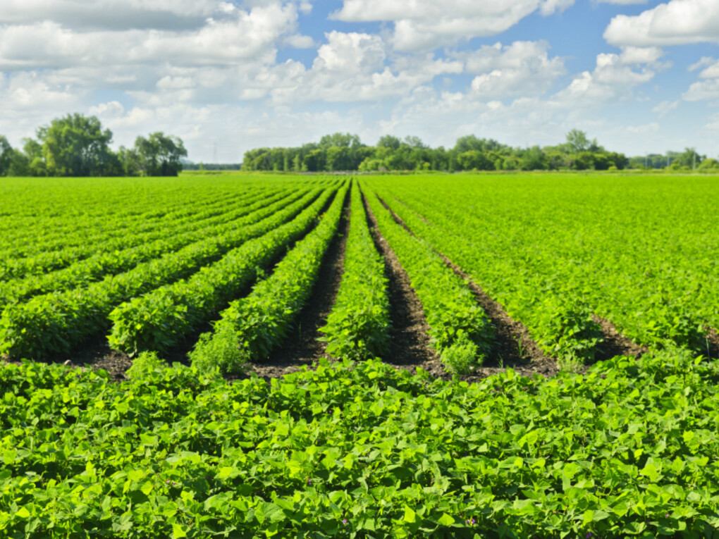 Morocco Generation Green 2020-2030 | Meer