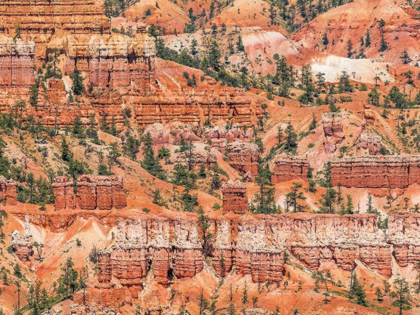 Pattern in Landscape | Meer