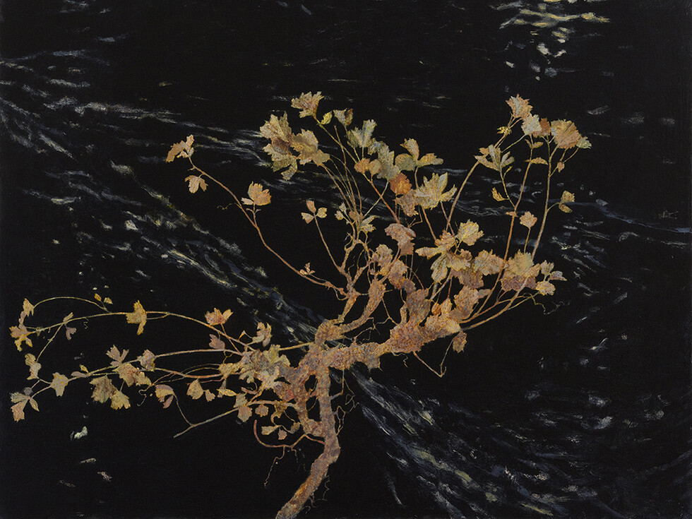 Victoria Crowe. Real and Reflected | Meer