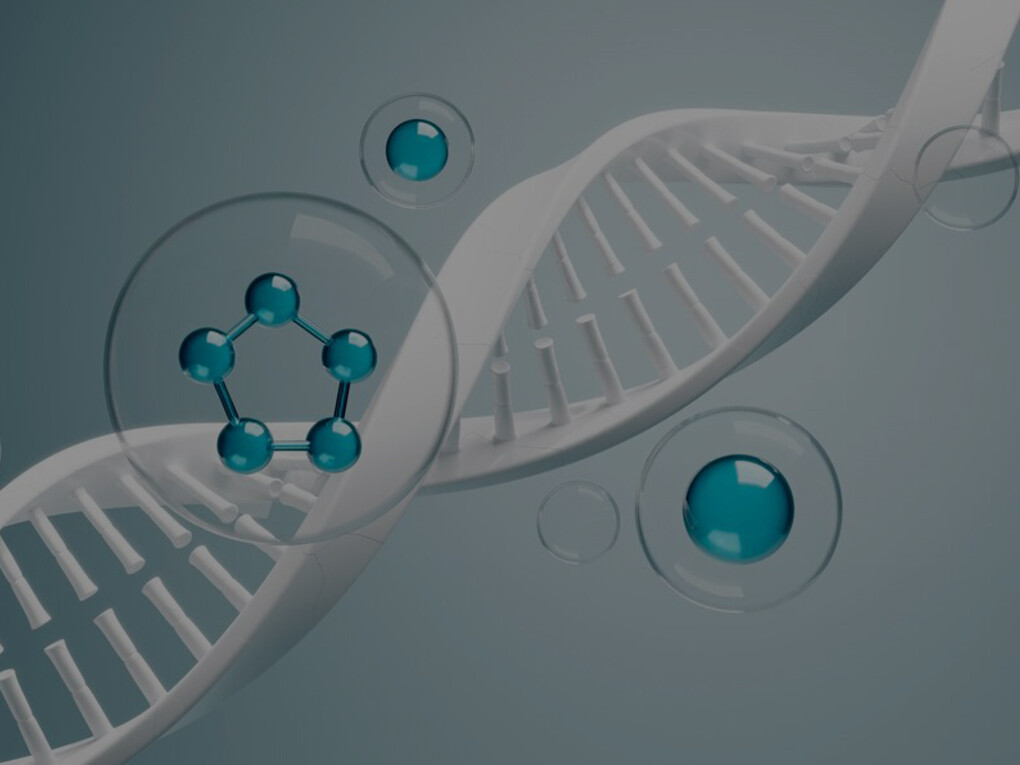 Cell lifespan: the cycle of renewal in the human body | Meer