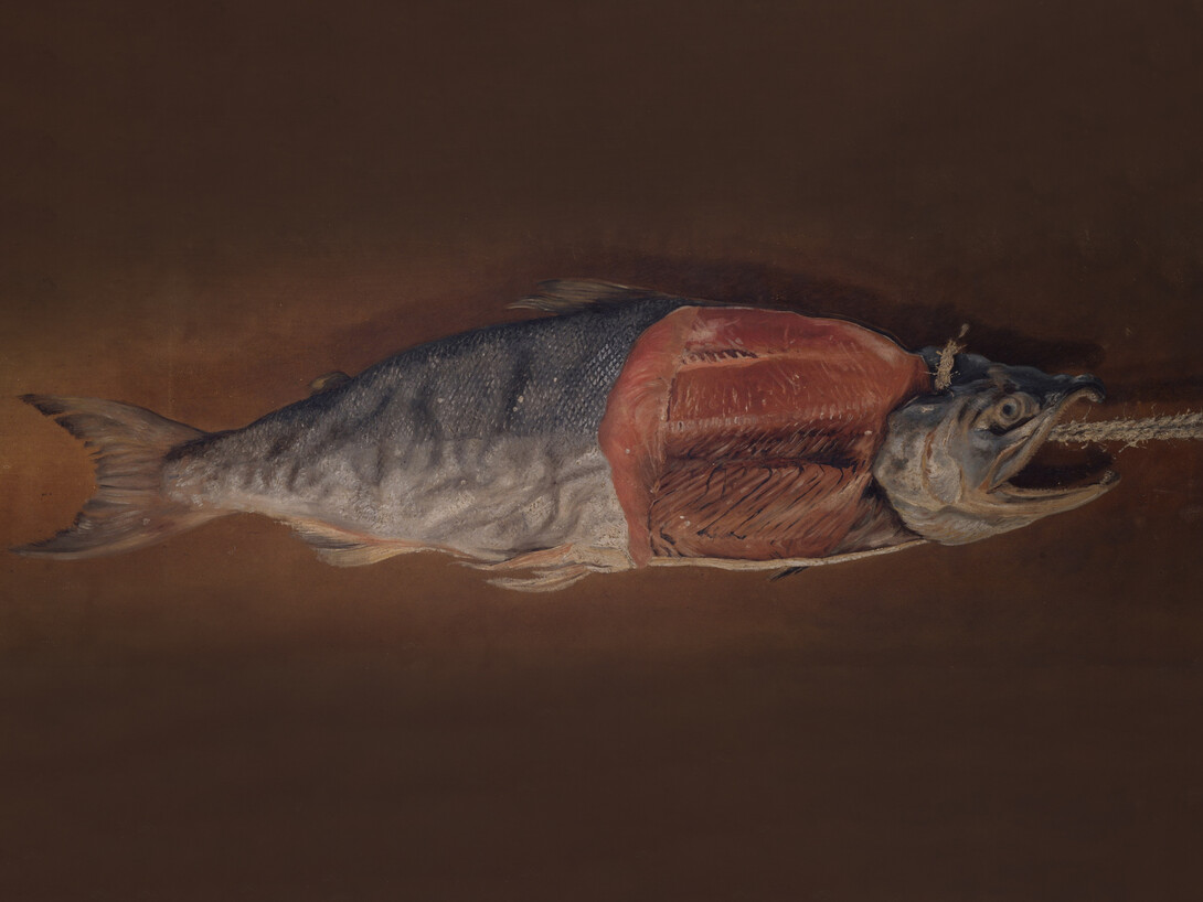 Takahashi Yuichi | Meer