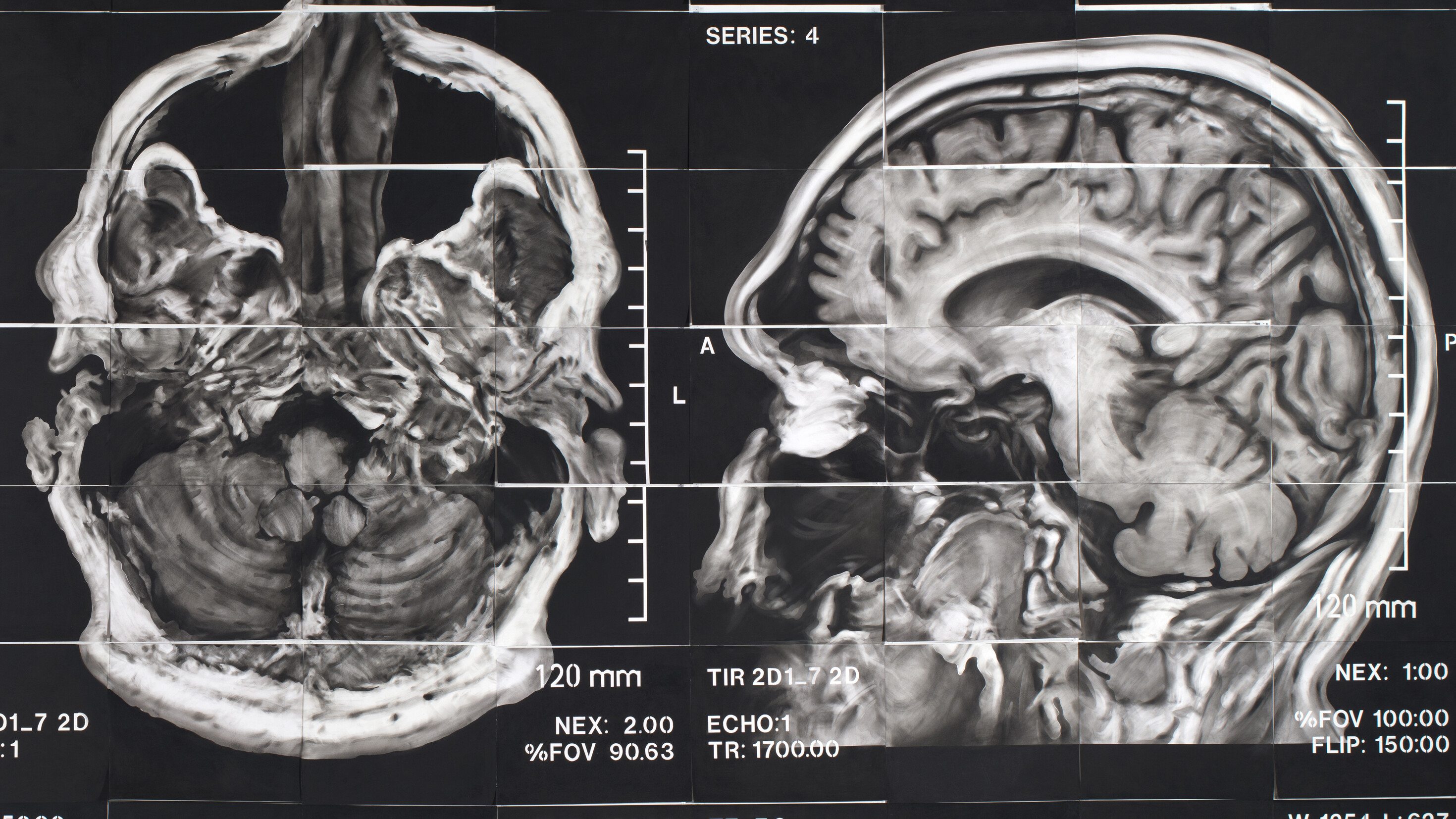 James Drake. Anatomy of Drawing and Space (Brain Trash) | Meer