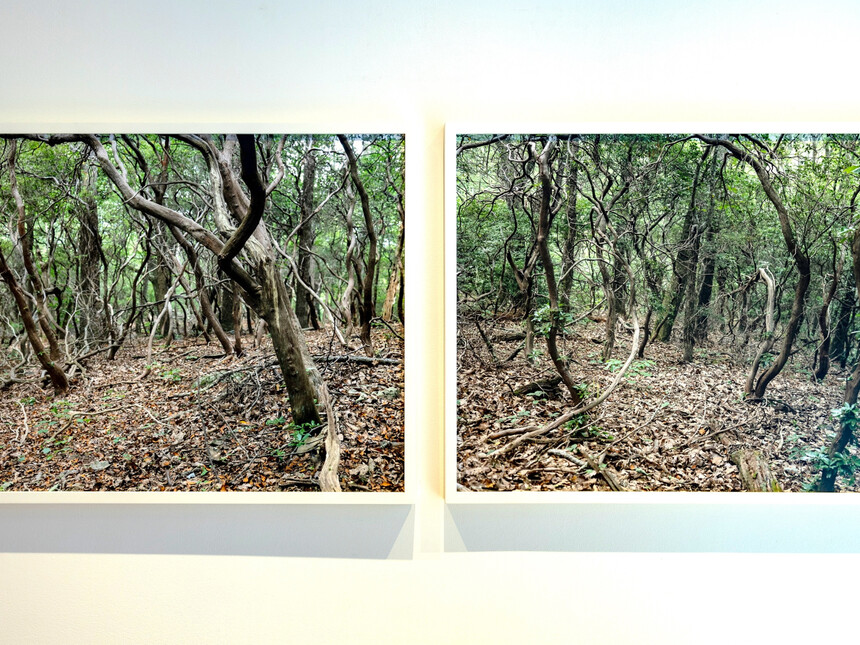 Hilary Tolan. In this place | Meer