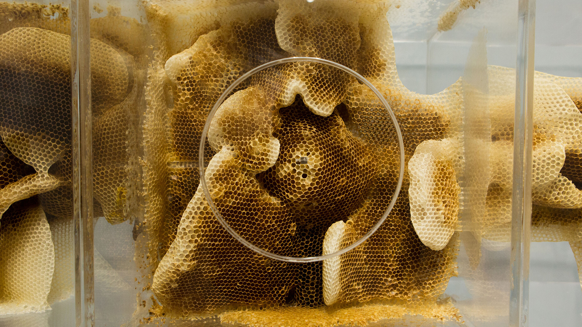 Ren Ri: Yuansu Projects | Meer