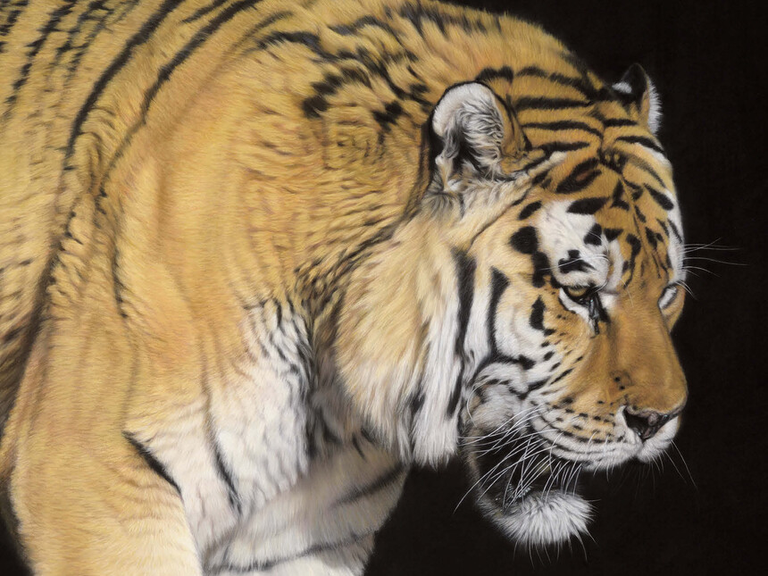 Gary Stinton. Large As Life | Meer