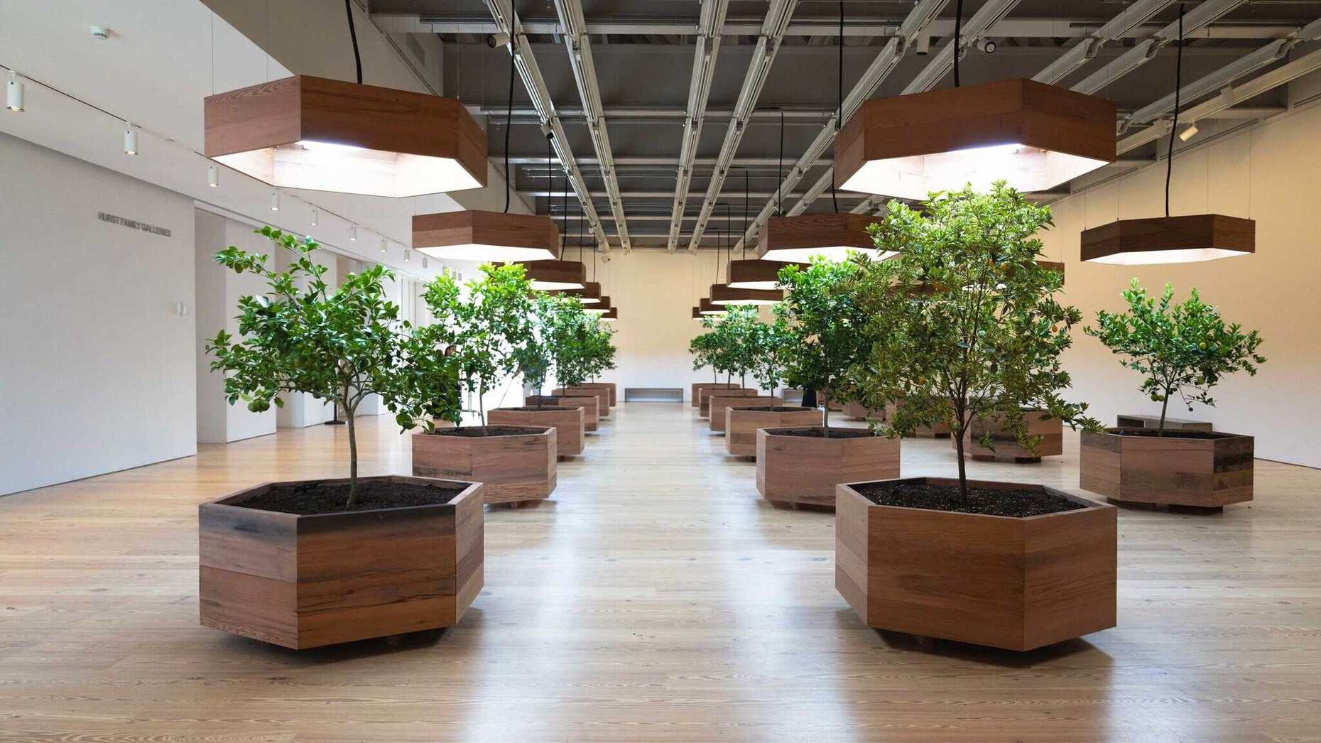 Pieza de supervivencia #5, huerto portátil | Meer