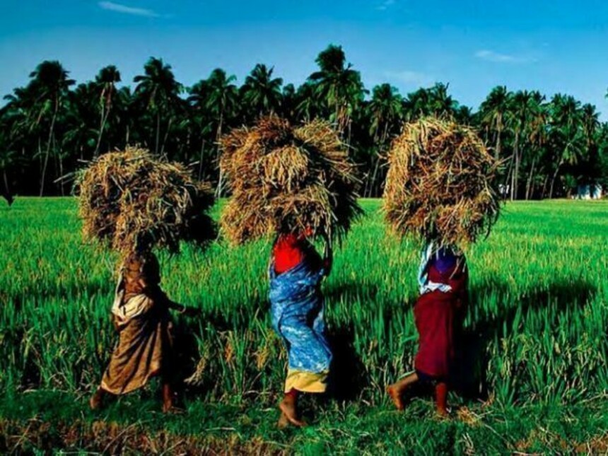 Paolo Gotti. Alle Origini Della Terra | Meer