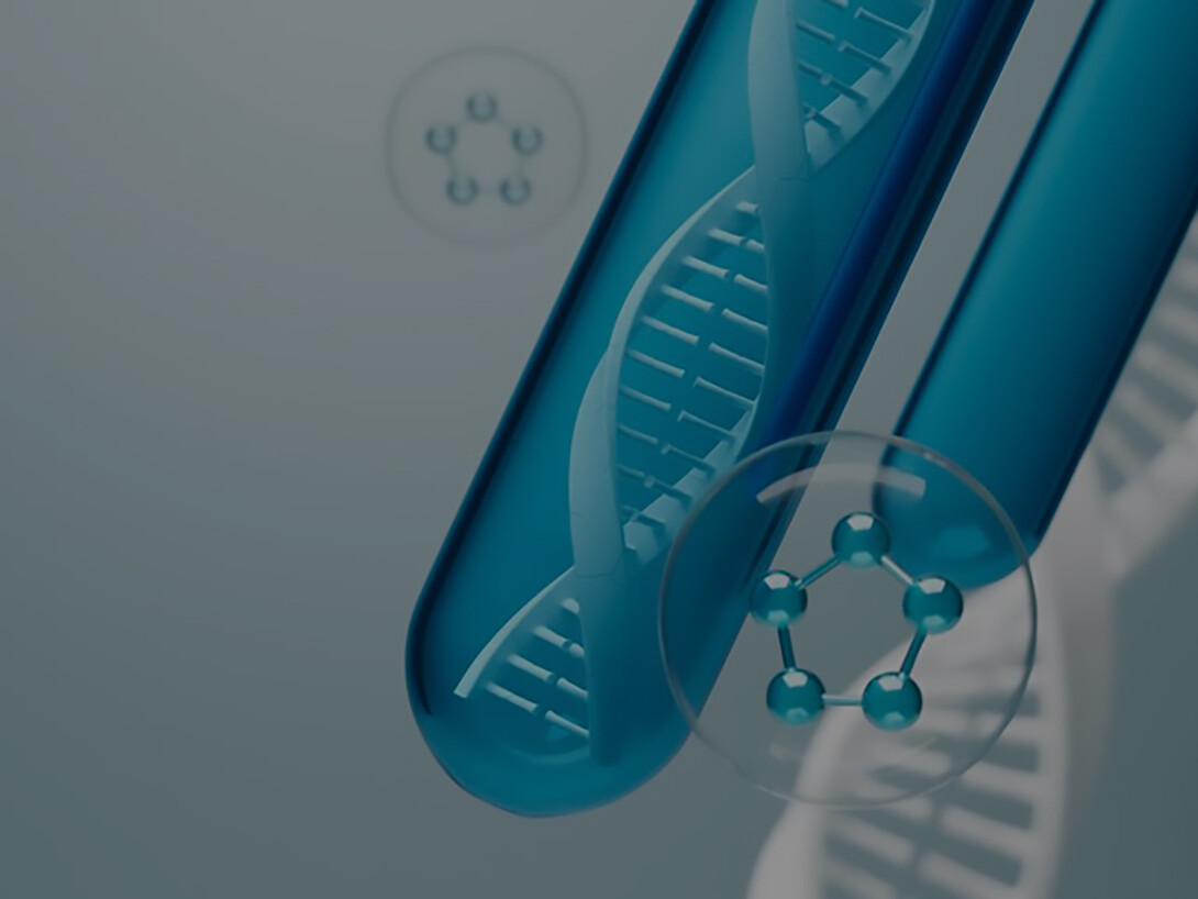 Cell lifespan: the cycle of renewal in the human body | Meer