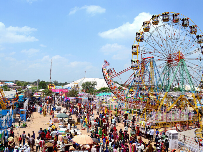 Tantalizing Tarnetar | Meer