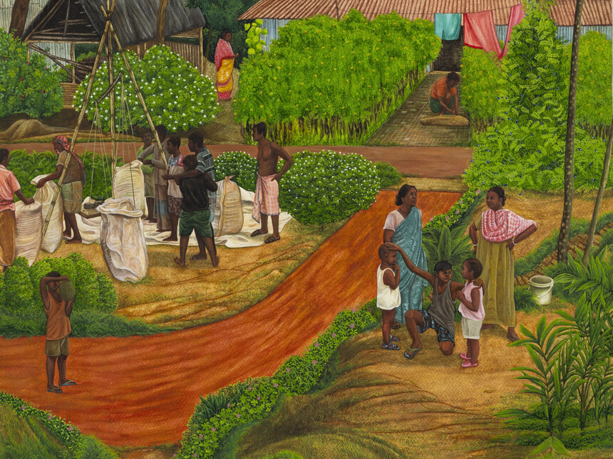 Views from within | Meer