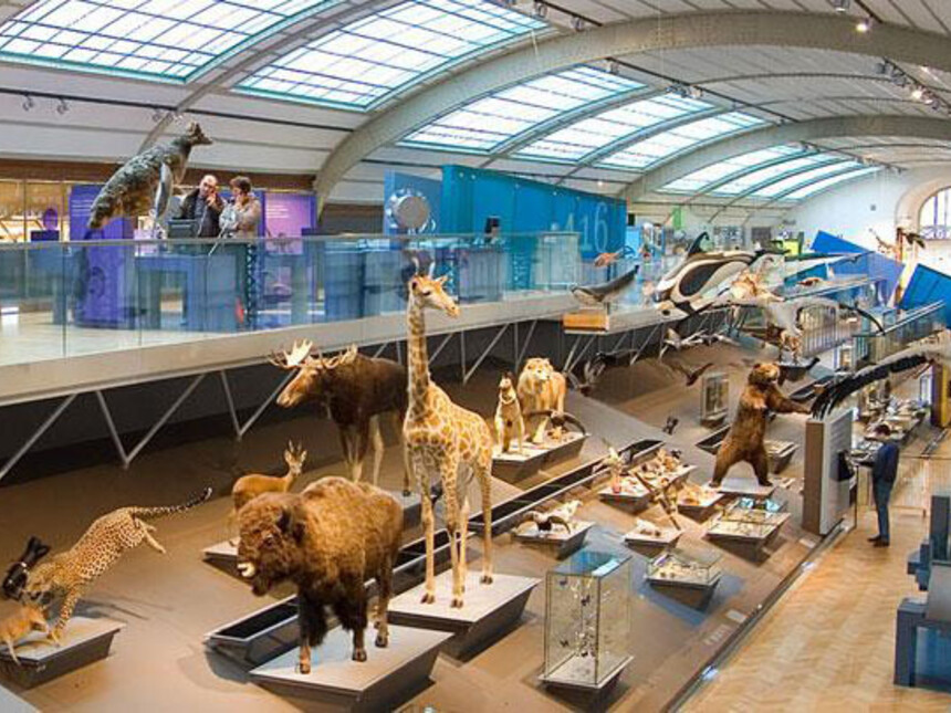 Gallery of Evolution | Meer