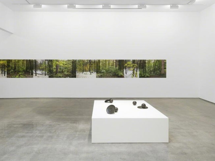 Stephen Berens | Meer