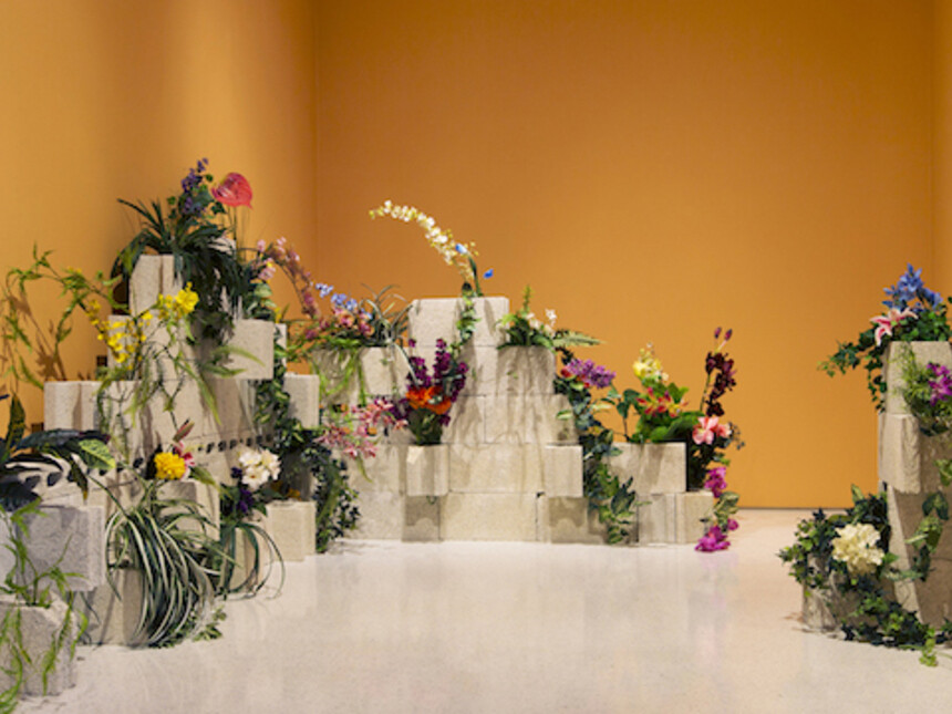 Carlos Rolón | Meer