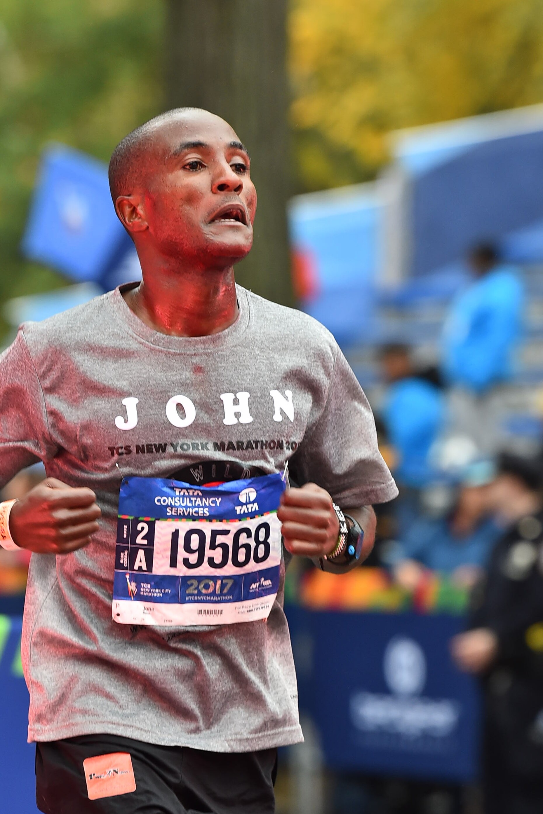 The Man Who Runs with Lions | Meer