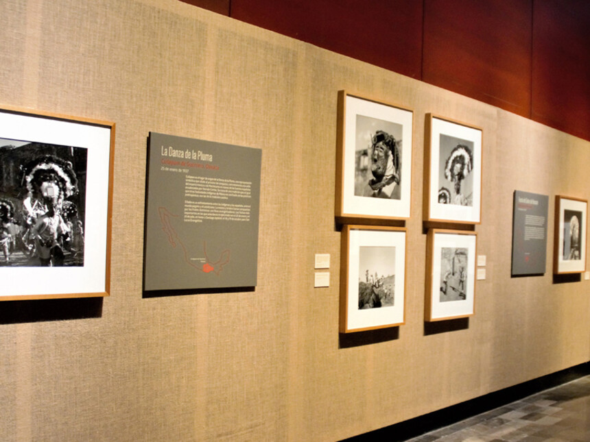 Acerca de la Exposición | Meer