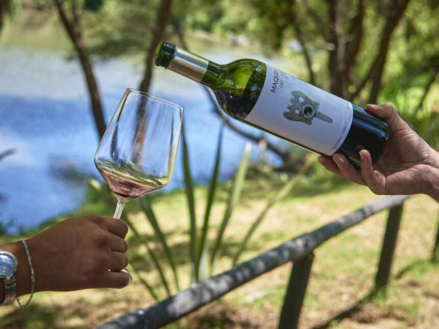 Vino chileno ingresa al circuito de los Negociants | Meer