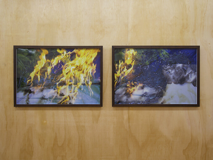 Johanna Breiding | Meer