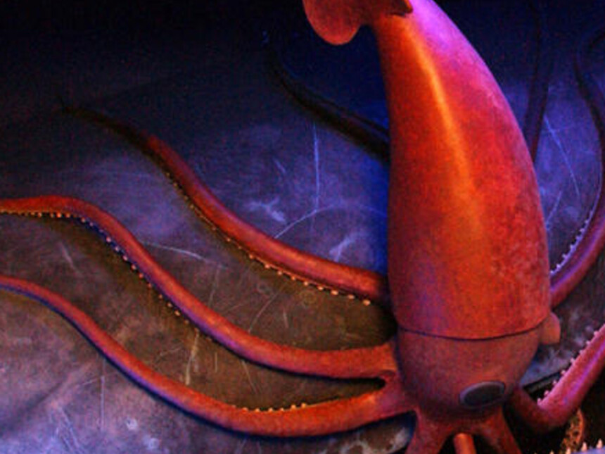 Milstein Hall of Ocean Life. Courtesy of American Museum of Natural ...