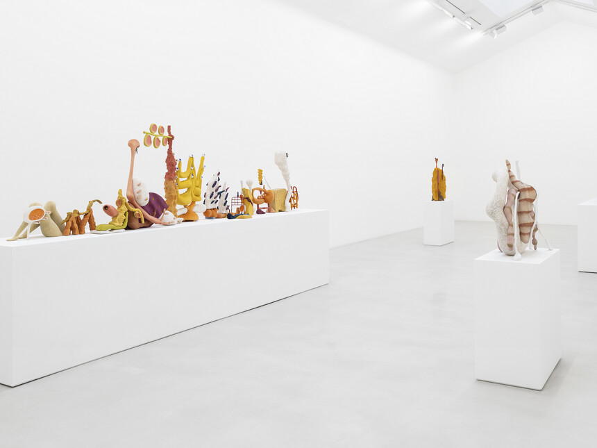 Thirteen forms | Meer