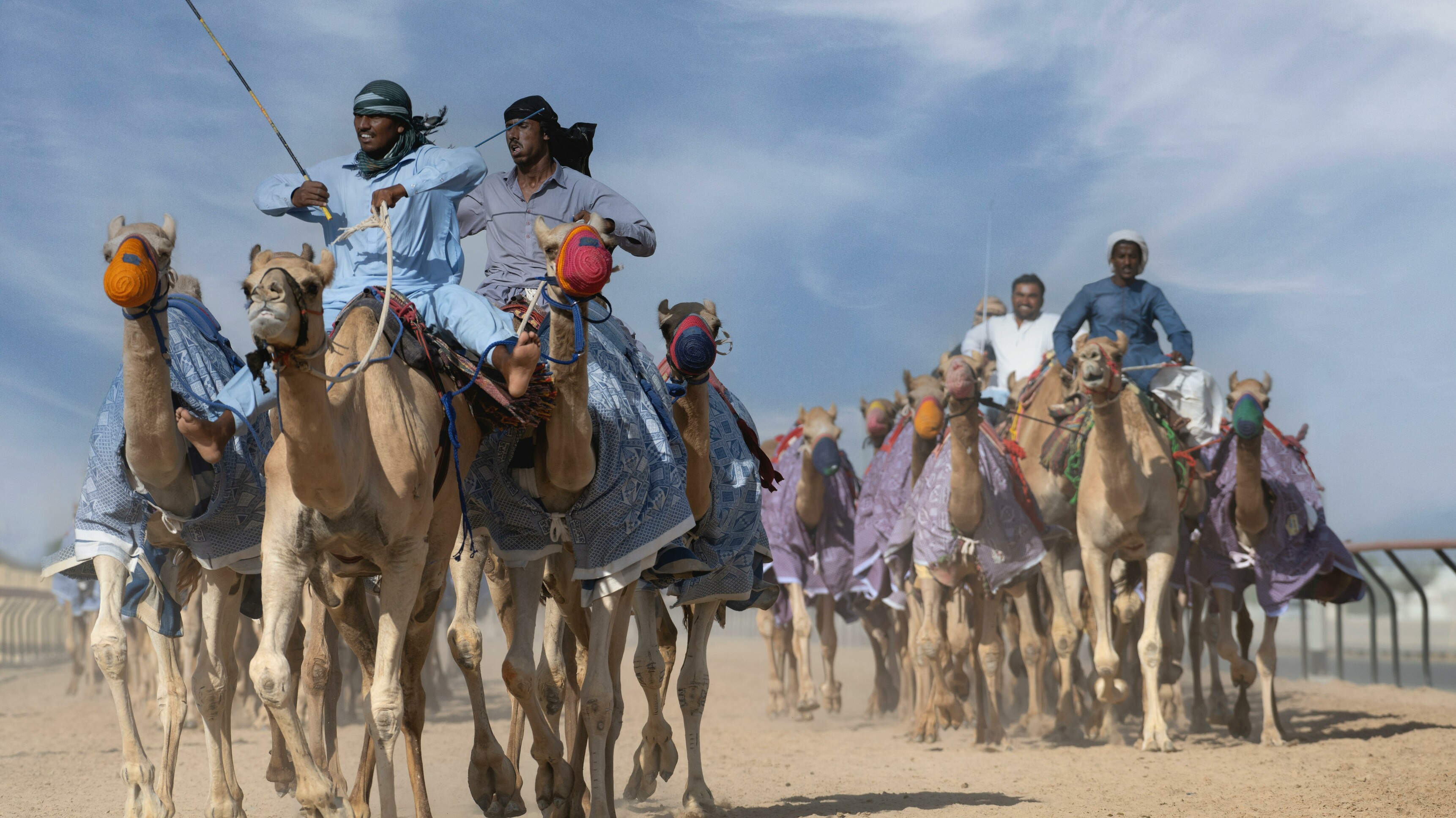 Moroccan Tbourida | Meer