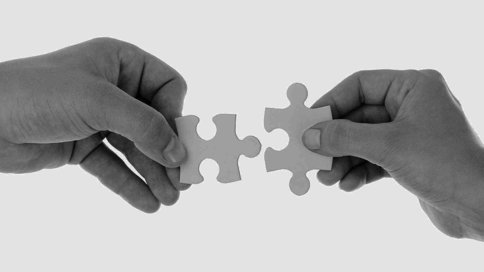 The 1+1=3 social equation | Meer