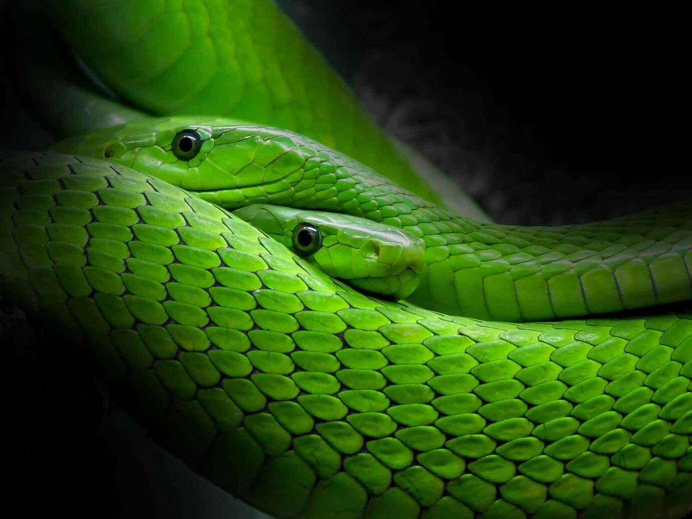 The cost of peace | Meer