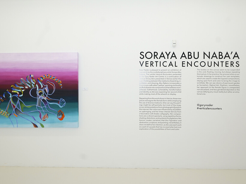 Soraya Abu Naba'a | Meer