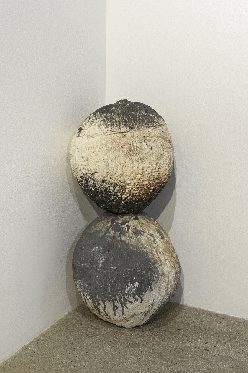 Carolina Jiménez and Grace Sachi Troxell | Meer