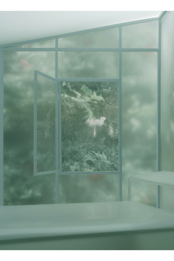 Mayumi Terada. Greenhouse series | Meer