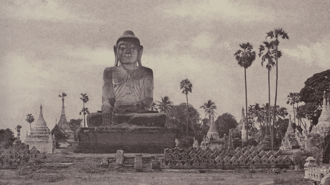 Captain Linnaeus Tripe | Meer