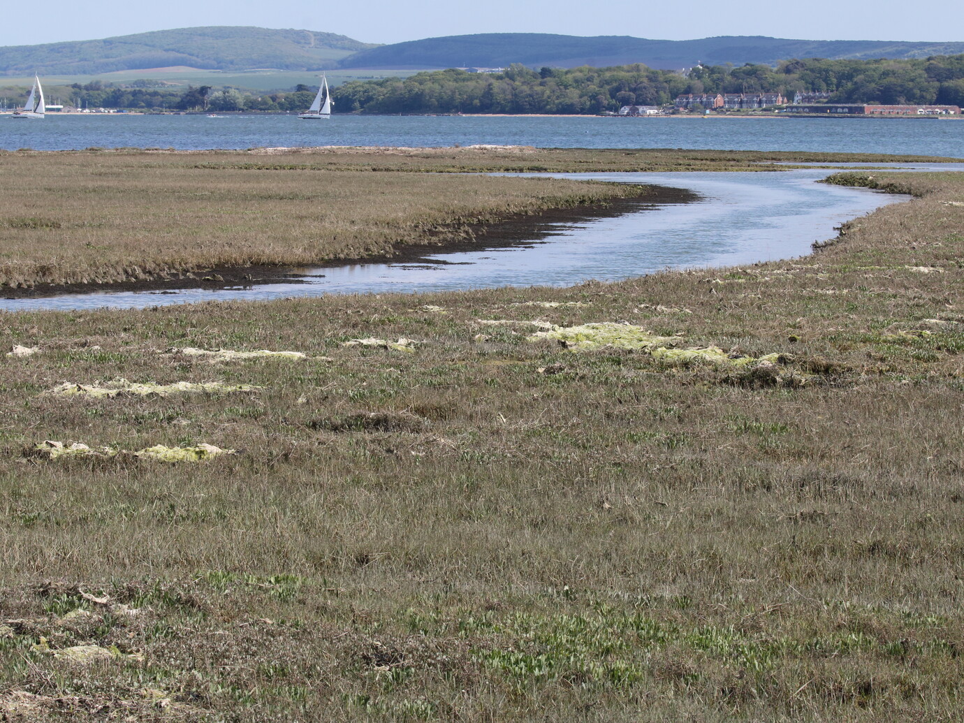 Wader Watching in Keyhaven Marshes | Meer