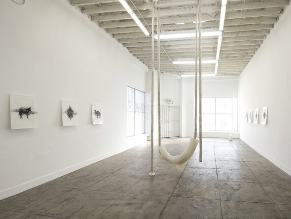 Camille Schefter | Meer