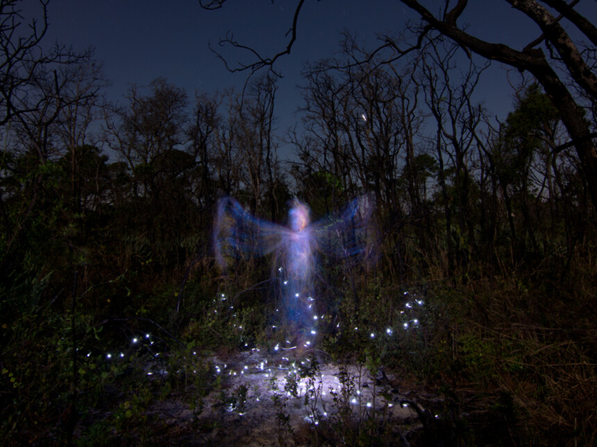 The apparition | Meer