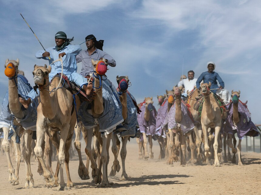 Moroccan Tbourida | Meer