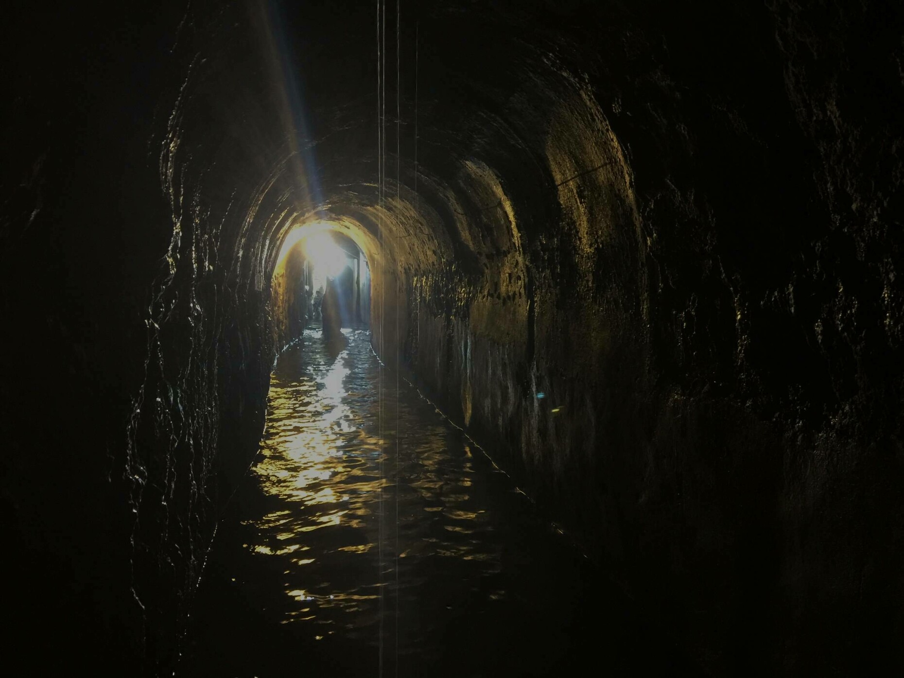 Interview with classical archaeologist Darius Arya | Meer