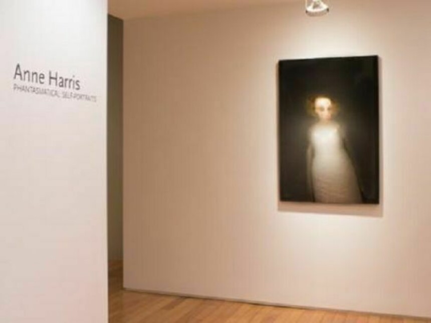 Anne Harris. New Paintings | Meer