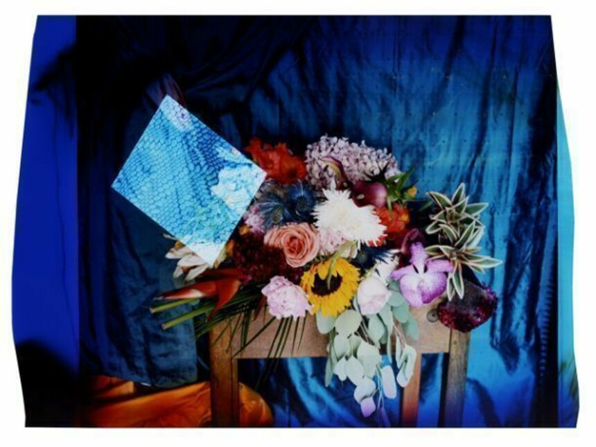 Chloe Sells. Senescence | Meer